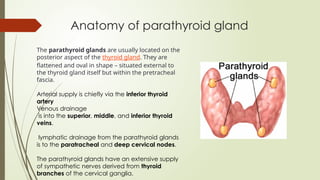 Hypoparathyroidism ( Endocrinology ) ... | PPTX