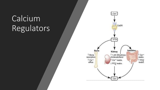 Hypoparathyroidism A Case Based Approach Pptx Thyroid Disorders Endocrine And Metabolic