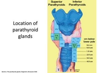 Hypoparathyroidism after Thyroidectomy amir sharing.pptx