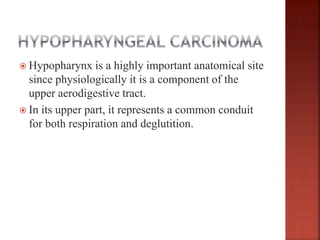 Hypopharynx Definition