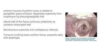 Development and Anatomy of Hypopharynx.pptx