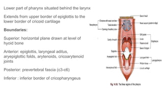 Development and Anatomy of Hypopharynx.pptx