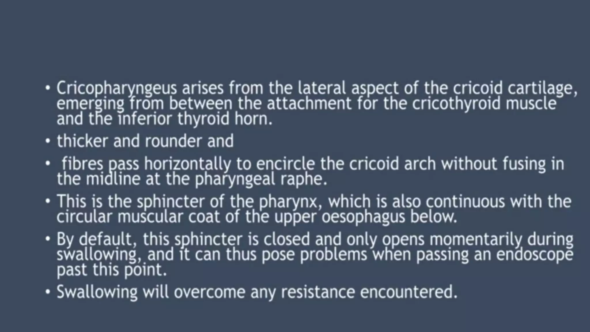 Hypopharynx anatomy | PPTX