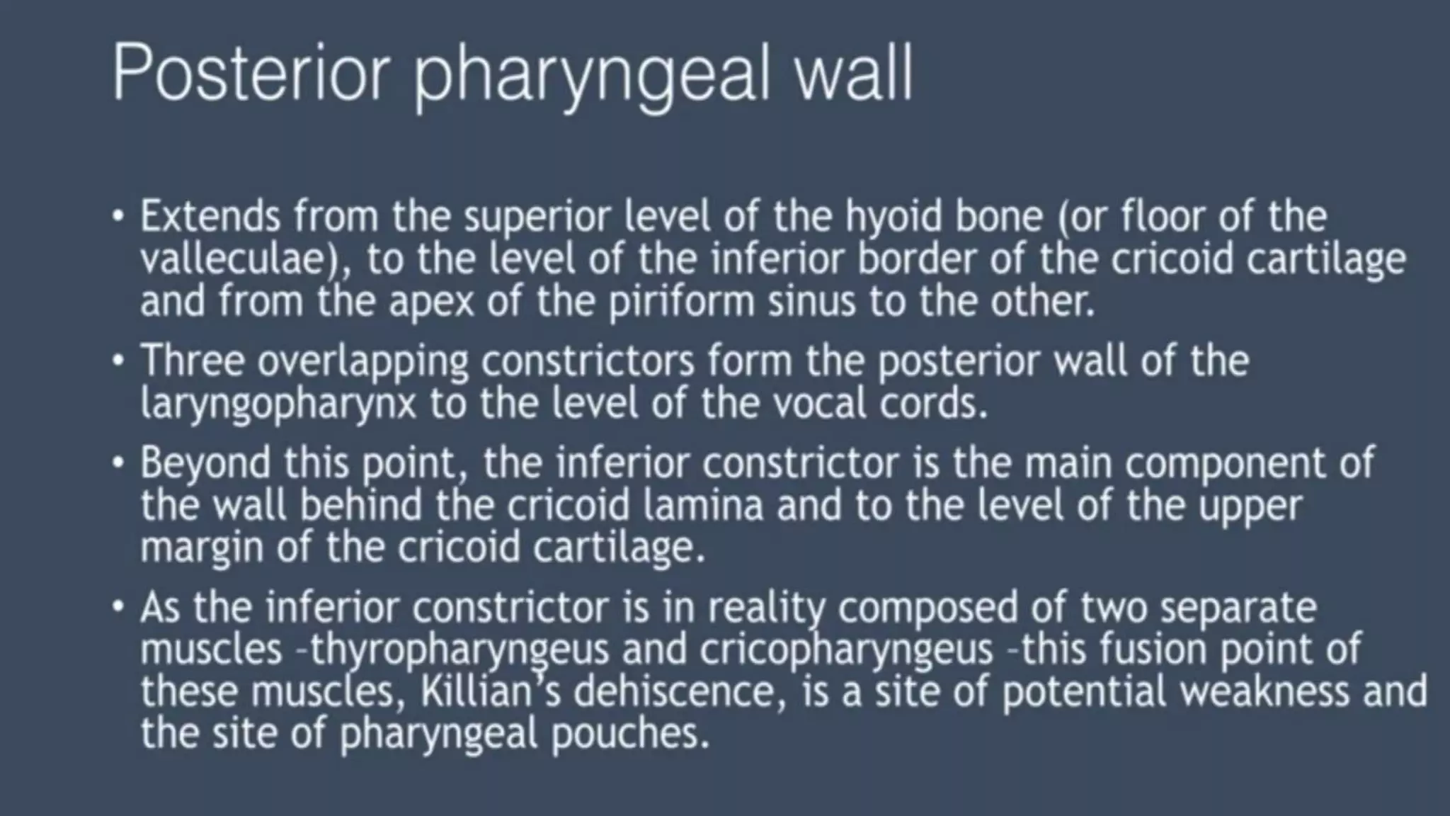 Hypopharynx anatomy | PPTX