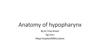 Hypopharynx anatomy | PPTX