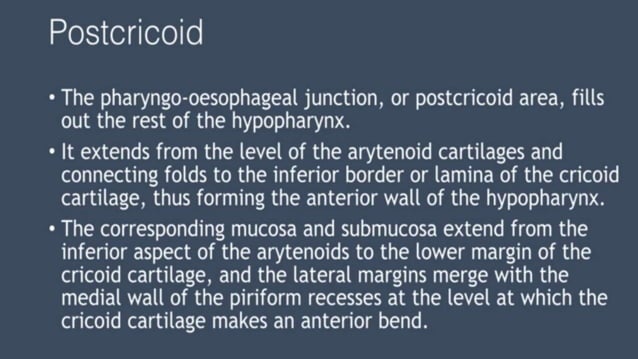 Hypopharynx anatomy | PPTX