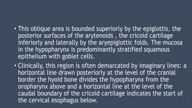 Hypopharynx anatomy | PPTX