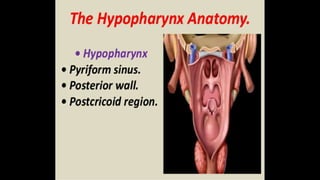 Hypopharynx anatomy | PPTX