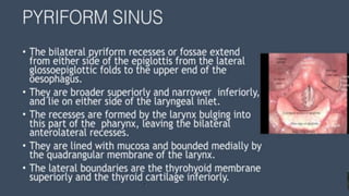 Hypopharynx anatomy | PPTX