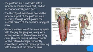 Hypopharynx anatomy | PPTX