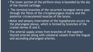 Hypopharynx anatomy | PPTX