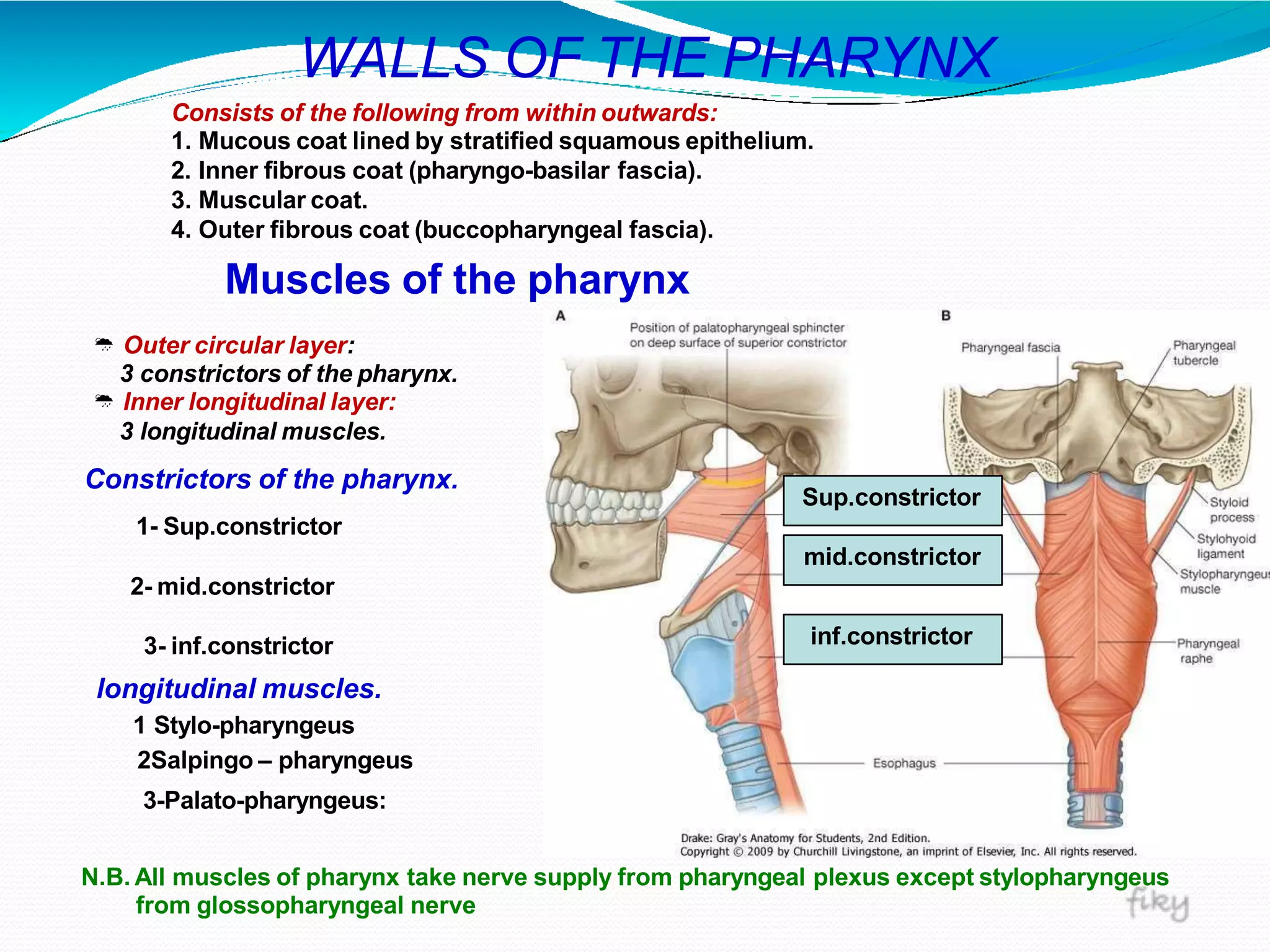 hypopharynxanatomy-210108085428.pptx