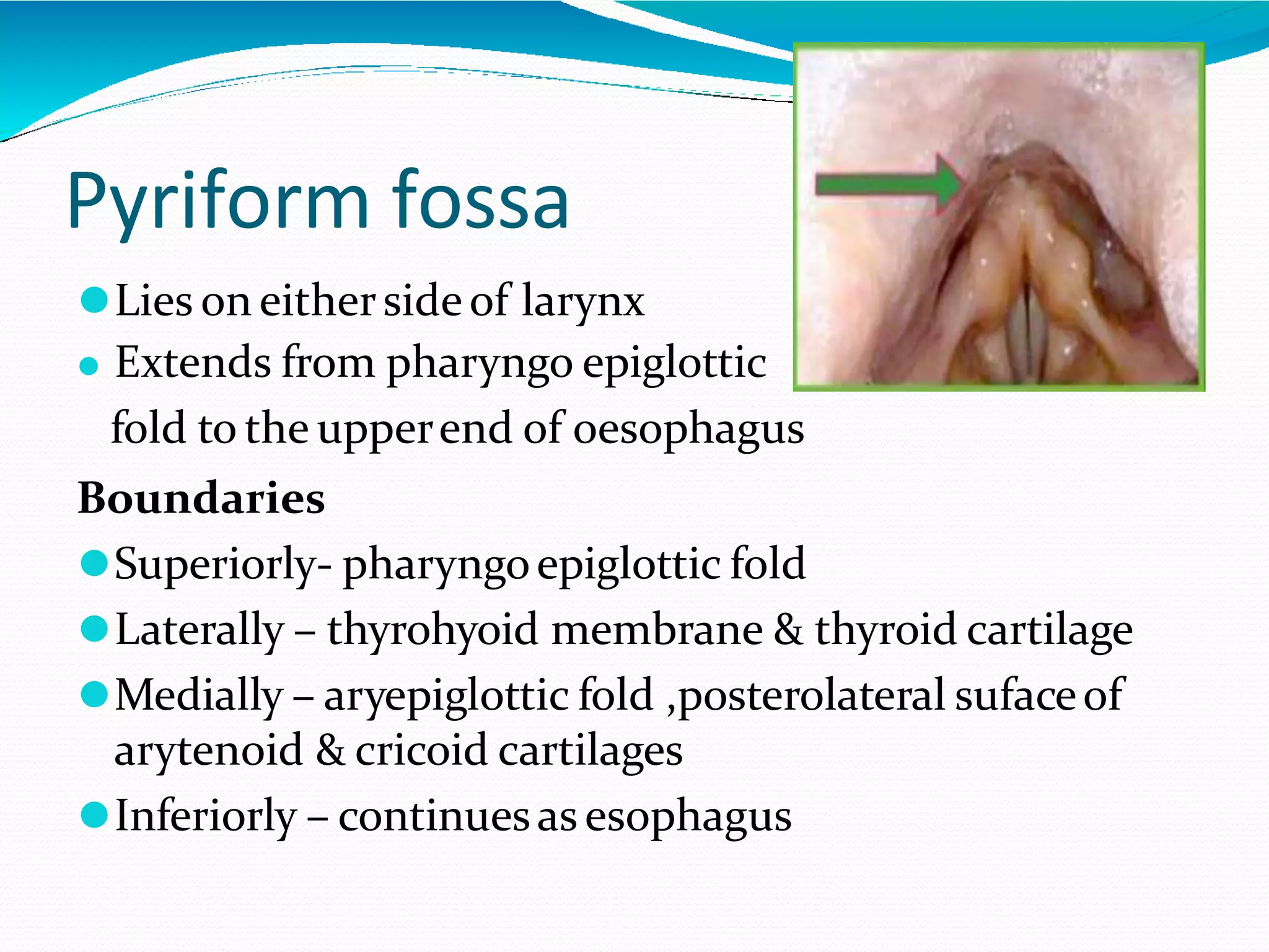 hypopharynxanatomy-210108085428.pptx