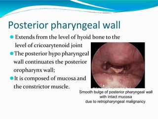 hypopharynxanatomy-210108085428.pptx