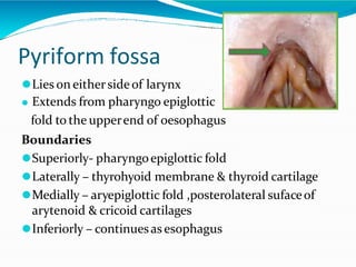 hypopharynxanatomy-210108085428.pptx