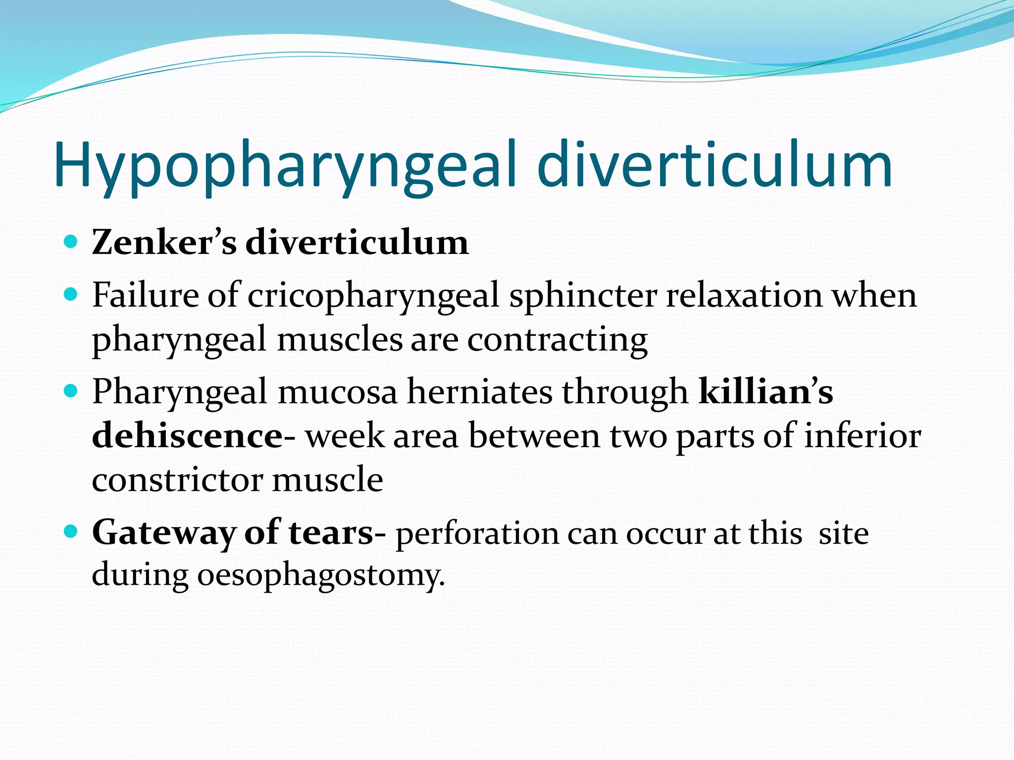Hypopharynx anatomy | PPTX