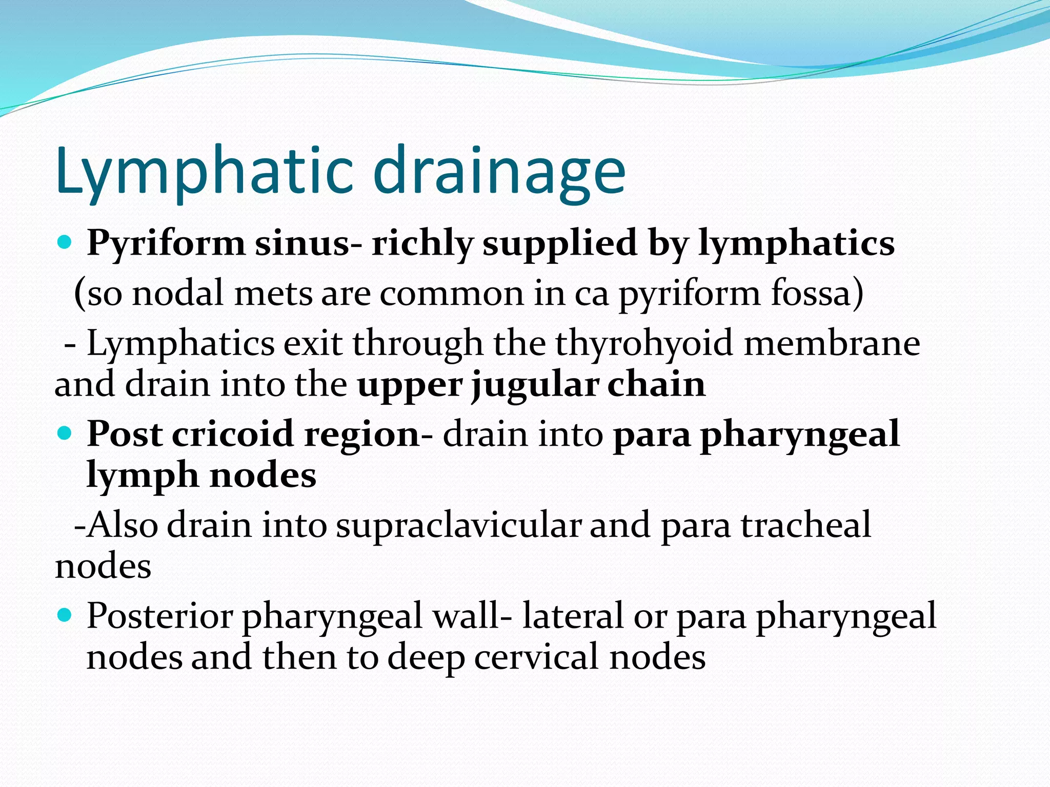 Hypopharynx anatomy | PPTX