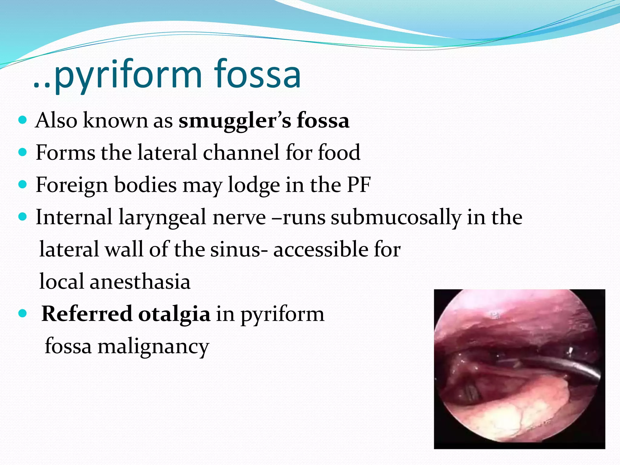 Hypopharynx anatomy | PPTX