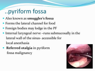 Hypopharynx anatomy | PPTX