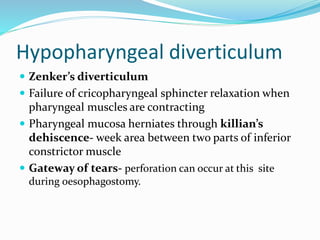 Hypopharynx Definition