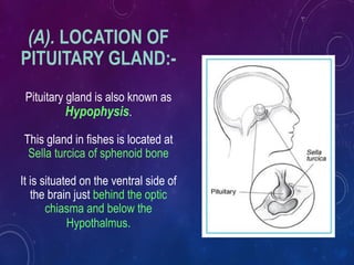 Hypophysation and factors affecting fish hatchery | PPTX