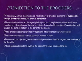 Hypophysation and factors affecting fish hatchery | PPTX