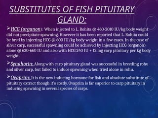 Hypophysation and factors affecting fish hatchery | PPTX