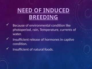 Hypophysation and factors affecting fish hatchery | PPTX