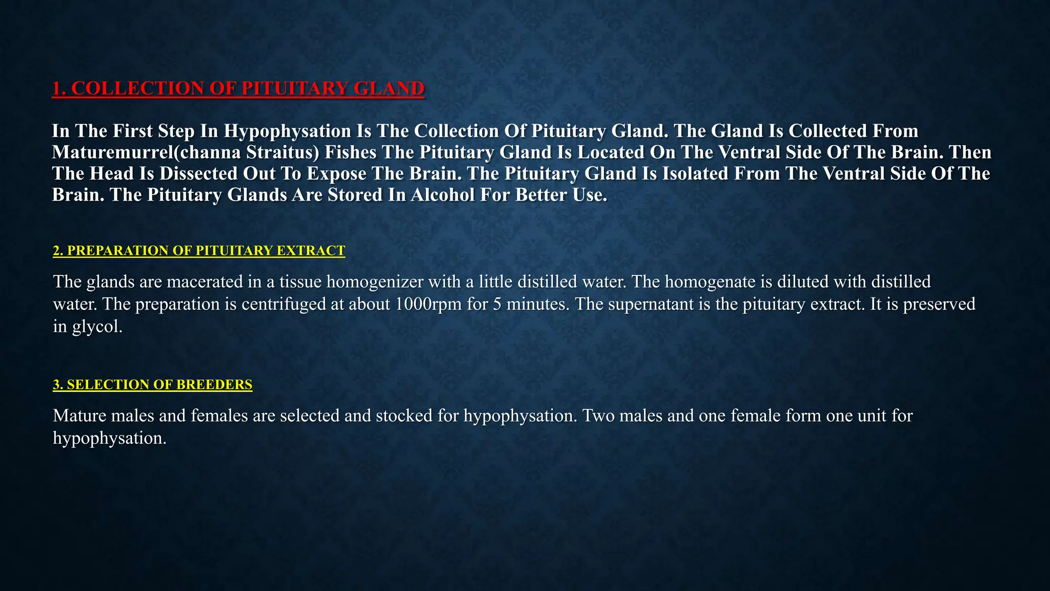 Hypophysation Technique by Dharavath Ram Kumar.pptx