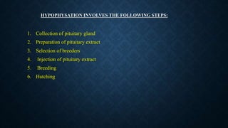 Hypophysation Technique by Dharavath Ram Kumar.pptx