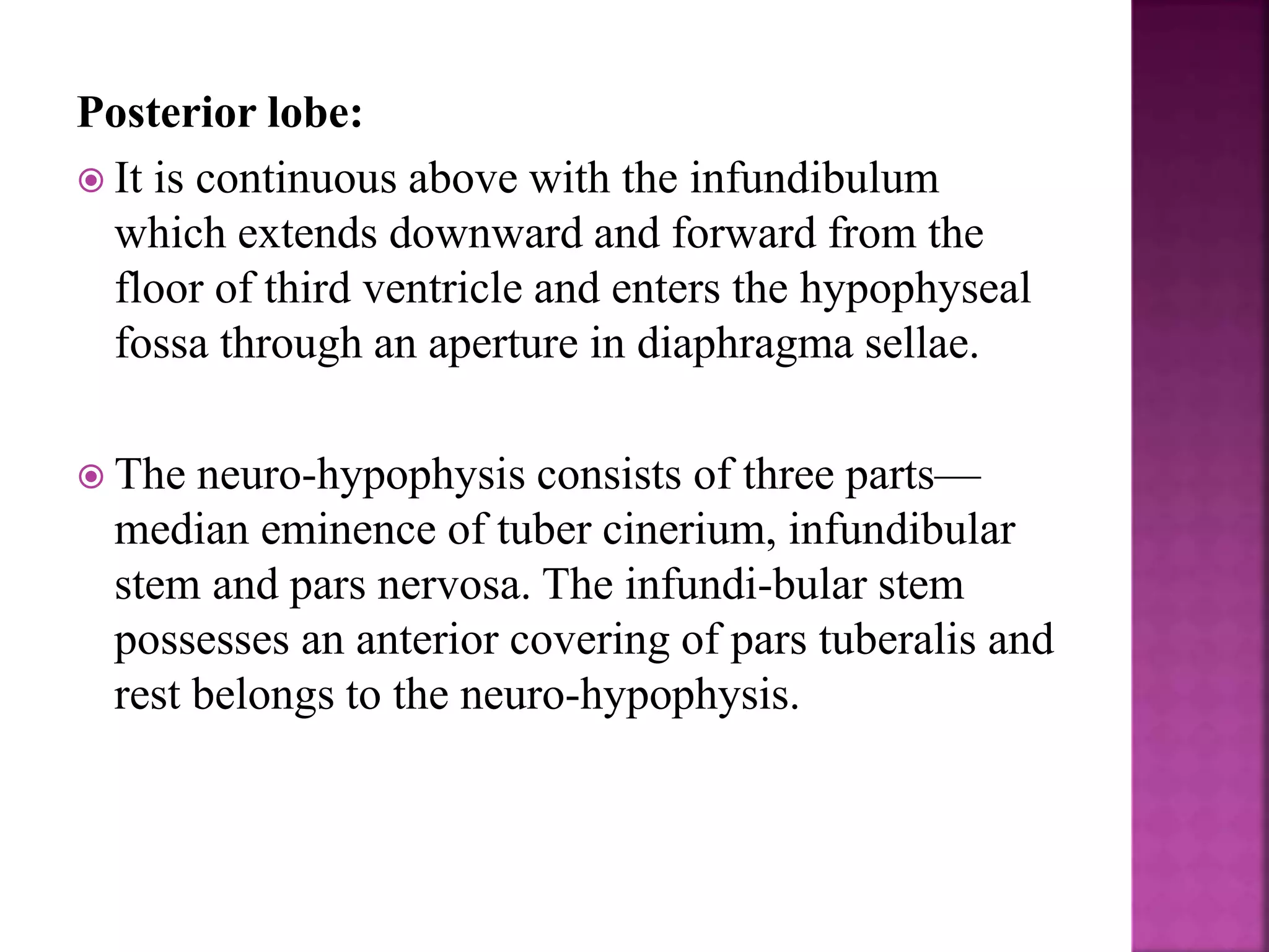 HYPOPHYSIS CEREBRI-Anatomy.pptx