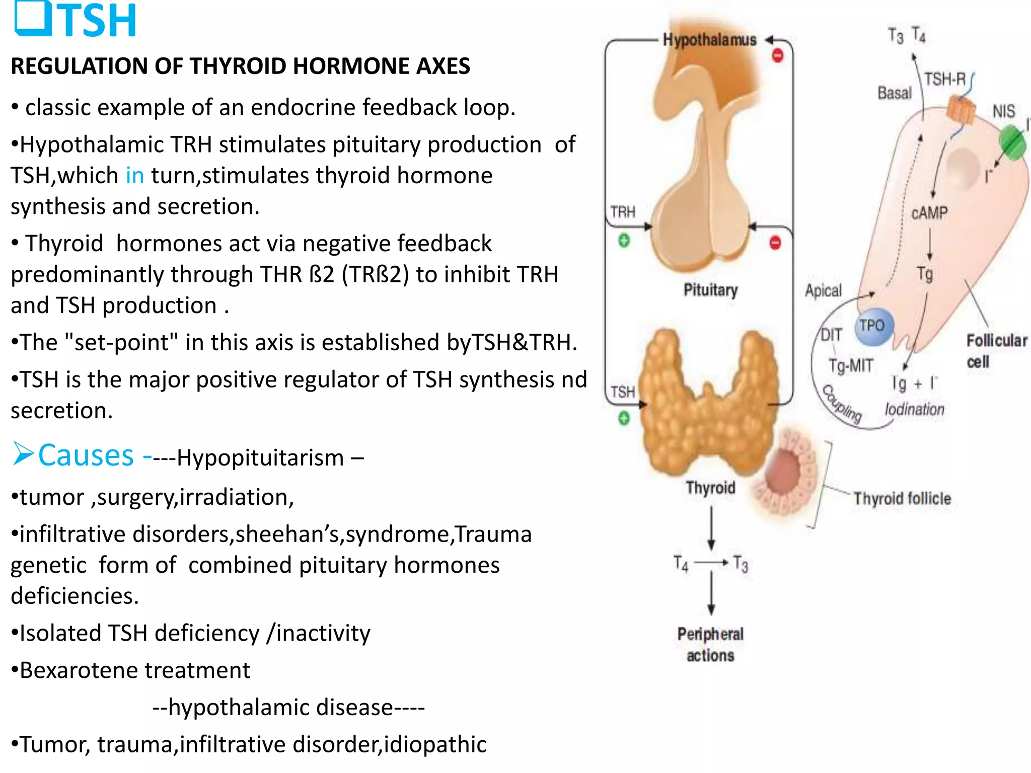 Hypopituitarism | PPTX