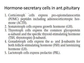 Hypopituitarism | PPTX | Thyroid Disorders | Endocrine and Metabolic ...