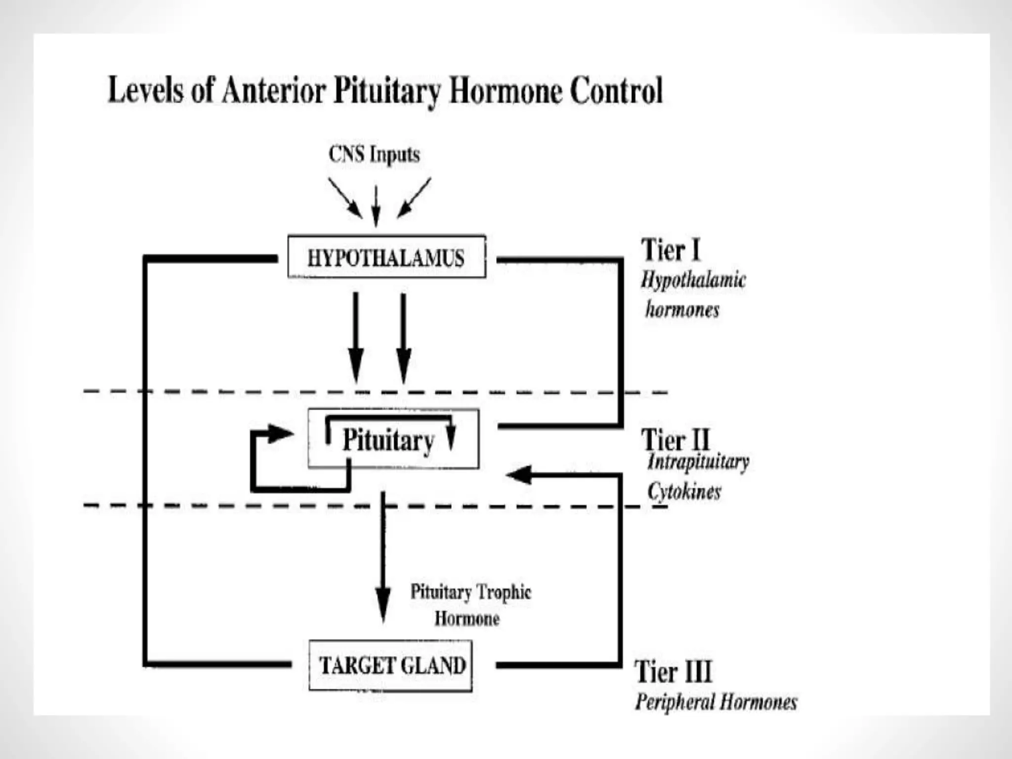 HYPOPITUITARISM.pptx