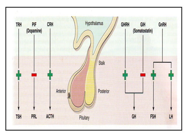 Hypopituitarism diagnosis and management (1) | PPT | Hormonal Disorders ...
