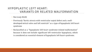 Hypoplastic Left heart dr Alister 3.pptx
