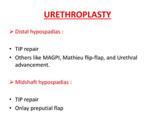 Hypospadias | PPTX