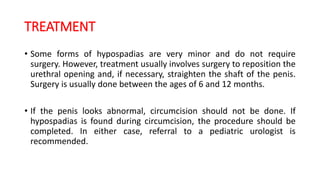 Hypospadias | PPTX