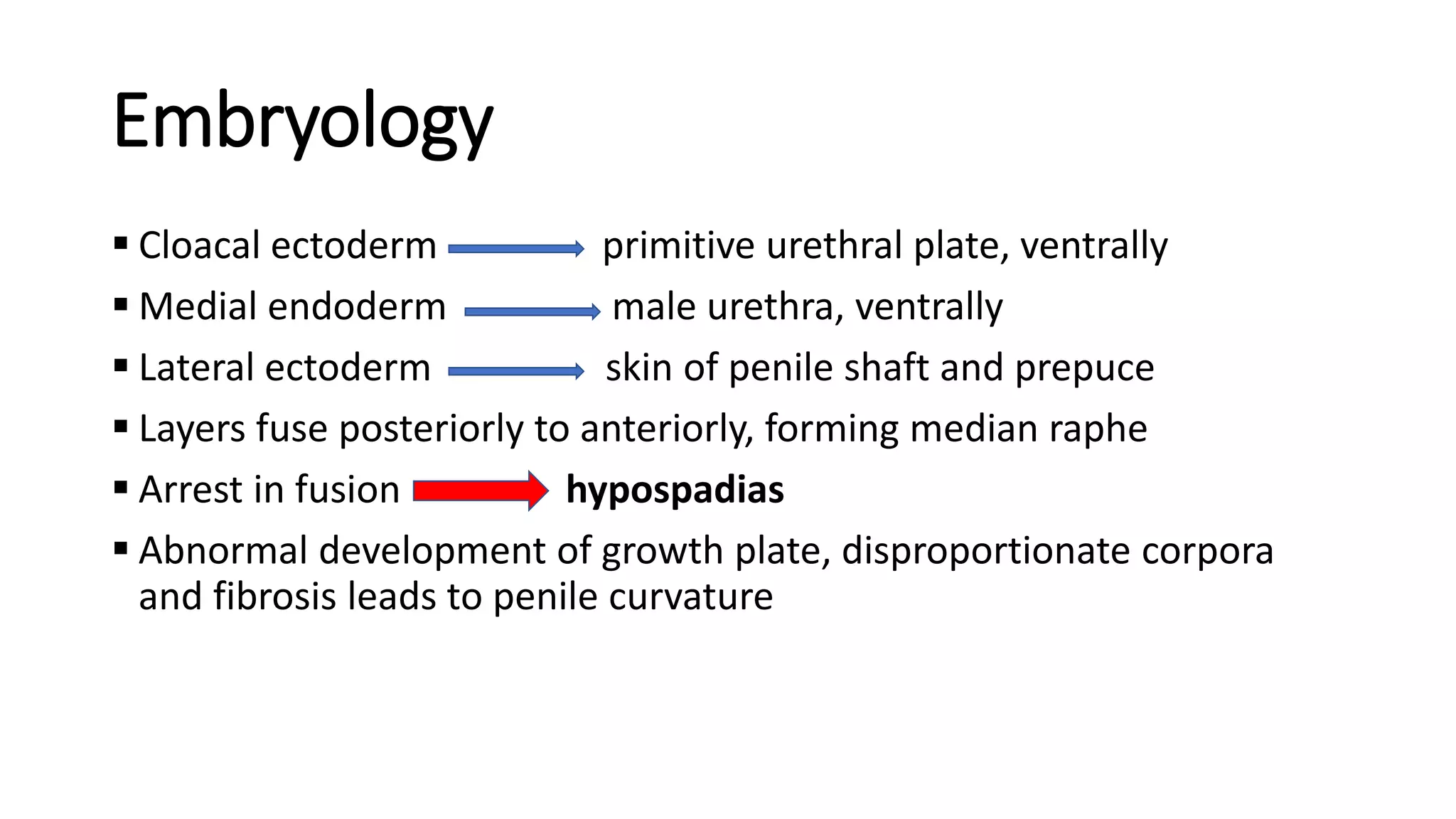 Hypospadias.pptx