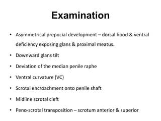 Hypospadias - clinical approach | PPTX | Sexual Conditions | Sexual Health