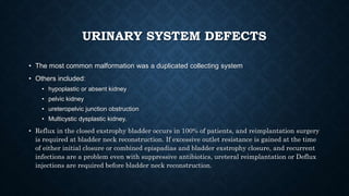 Hypospadias, epispadias and bladder exstrophy | PPTX