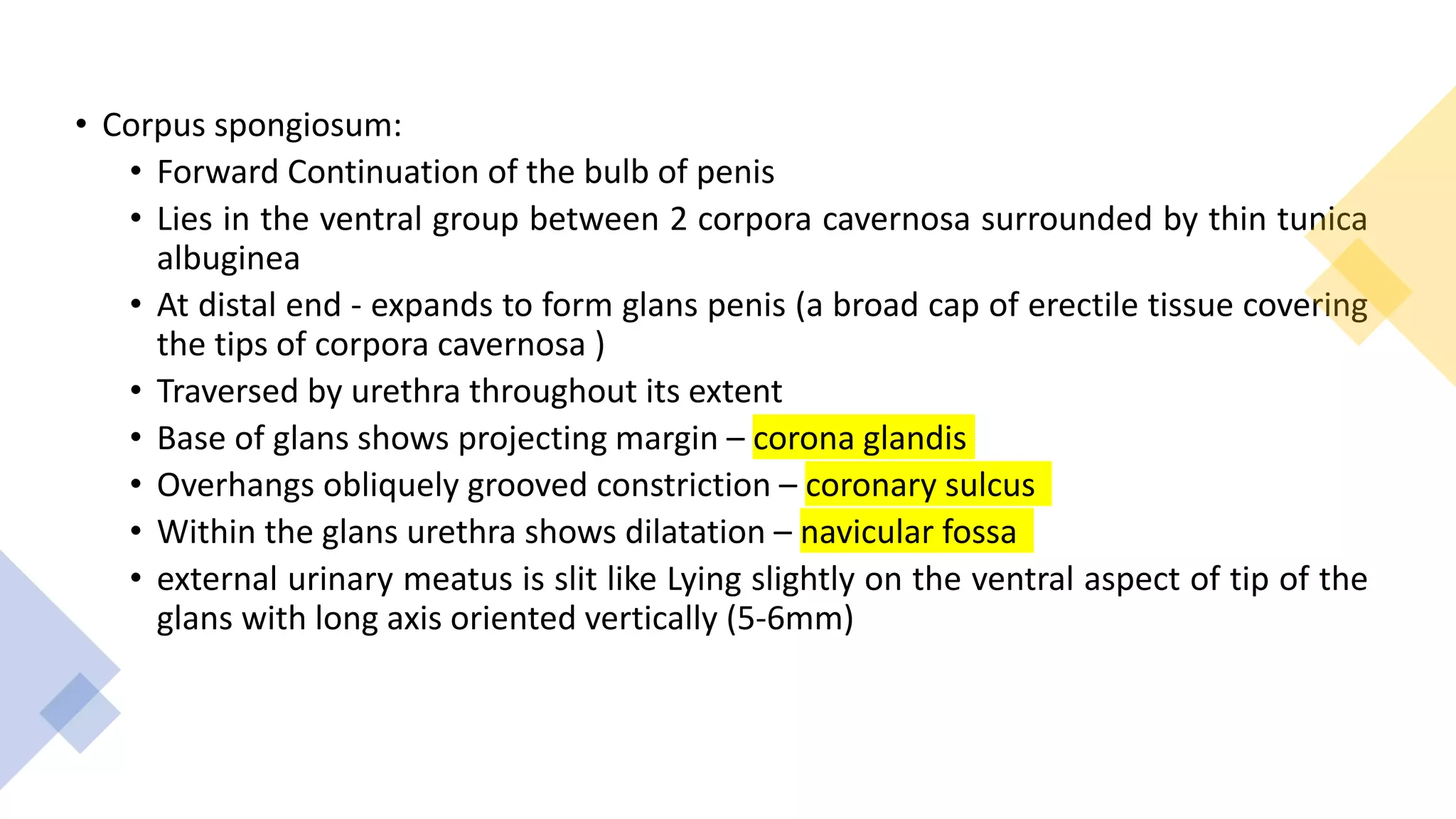 hypospadias .pptx