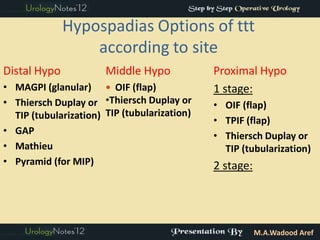 Hypospadias 3: MAGPI & snod grass (TIP) step by step operative urology ...
