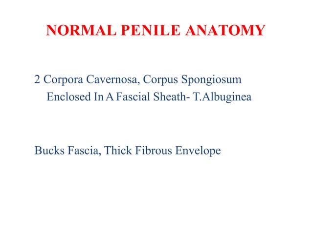 hypospadias and epispadius.pptx