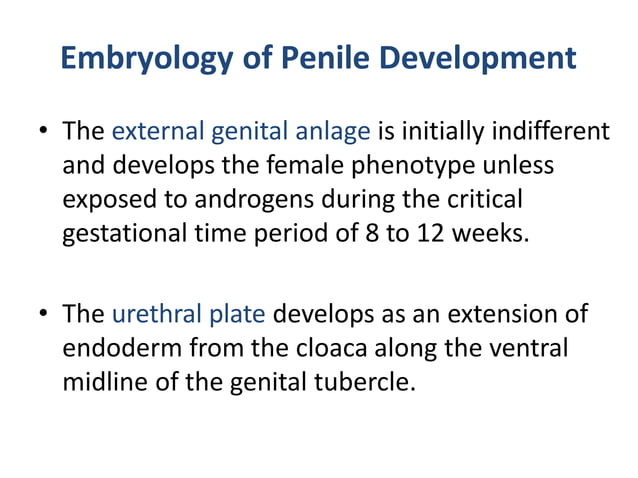 hypospadias and epispadius.pptx