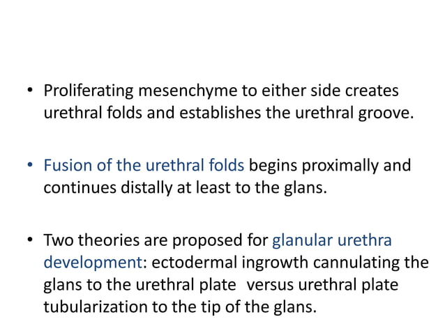 hypospadias and epispadius.pptx