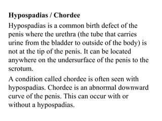 Hypospadiasis,descended testis | PPT
