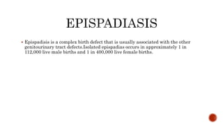 HYPOSPADIASIS & EPISPADIASIS | PPTX