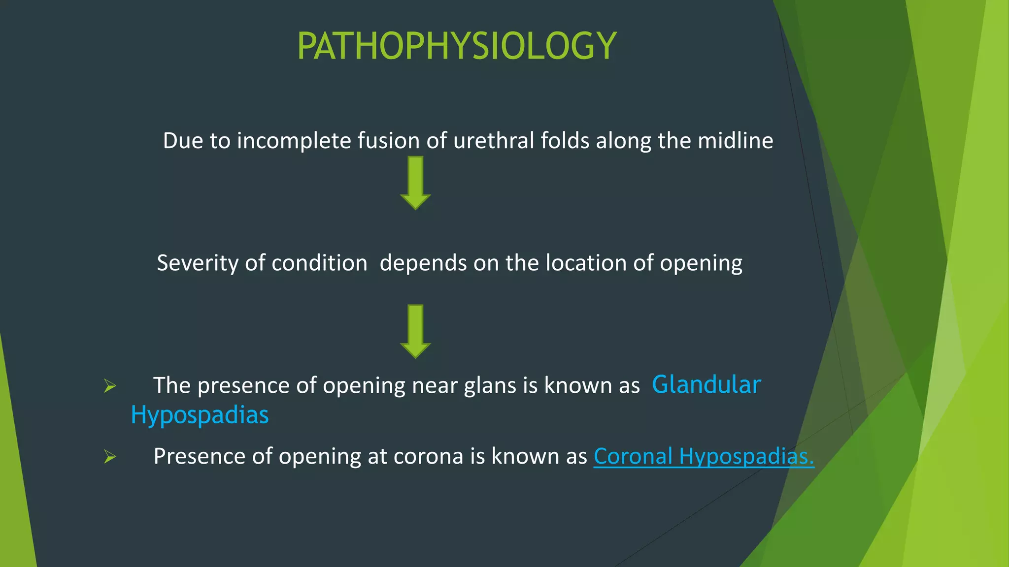 Hypospadias ppt | PPTX