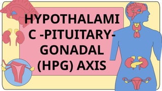 HYPOTHALAMIC-PITUITARY-GONADAL-HPG-AXIS-1.pptx